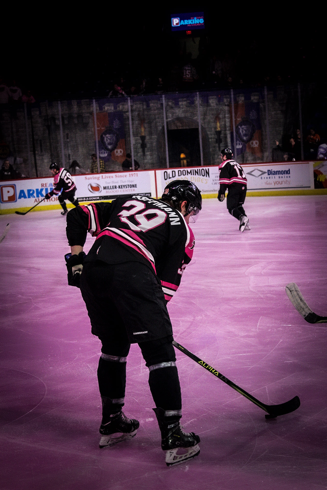 Pink in the Rink Photo Gallery - FLYERS NITTY GRITTY